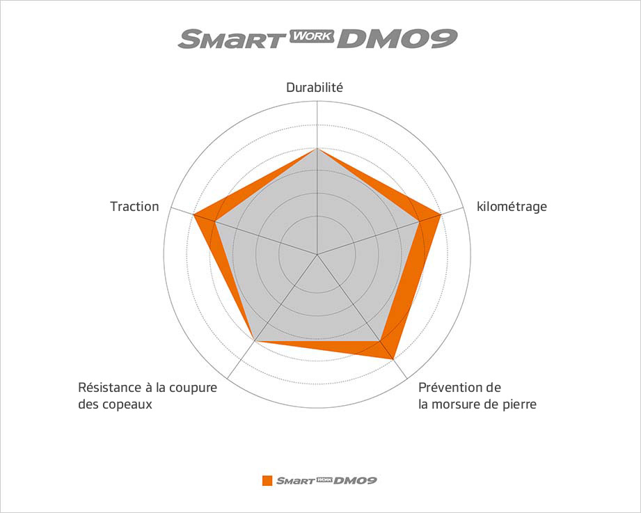 Smart Work DM09 - Smart | Hankook Tire Canada