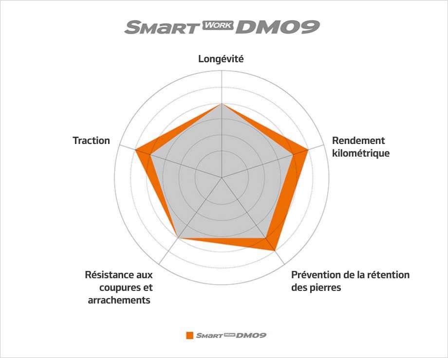 Smart Work DM09 - Smart | Hankook Tire France