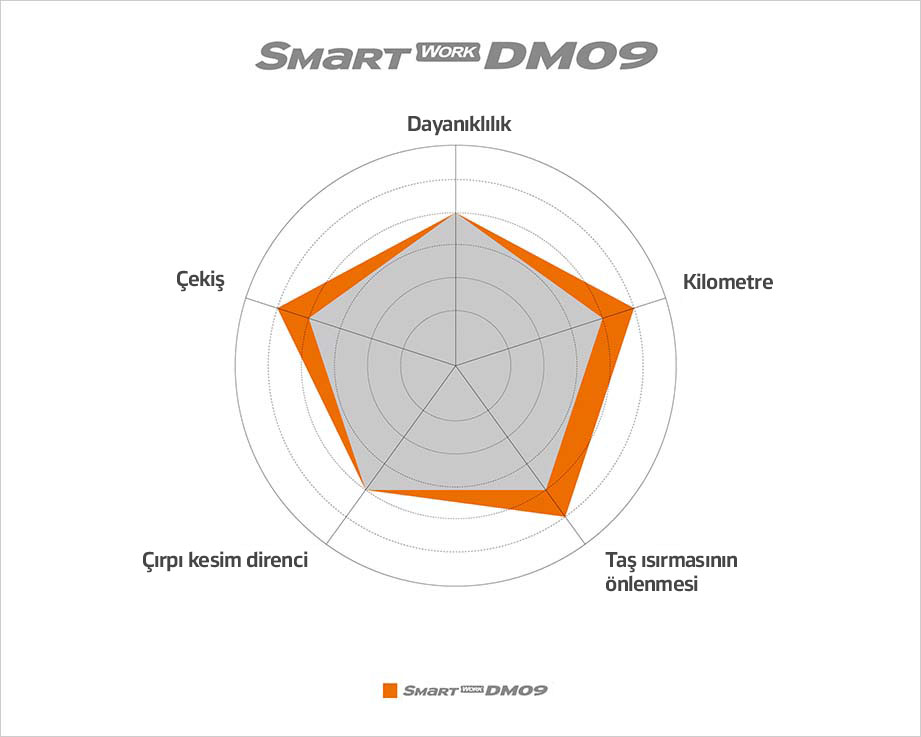 Smart Work DM09 - Smart | Hankook Tire Türkiye