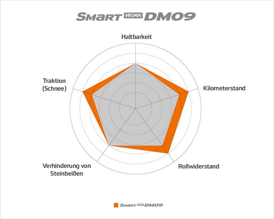 Smart Work DM09 - Smart | Hankook Tire Deutschland