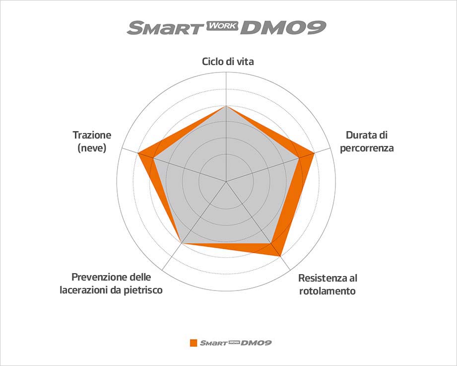 Smart Work DM09 - Smart | Hankook Tire Italia